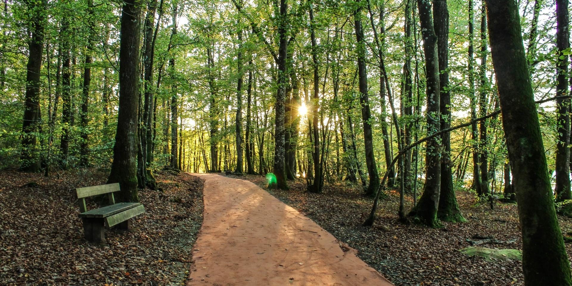 Lake of Trémelin – Etang de trémelin – Destination Brocéliande