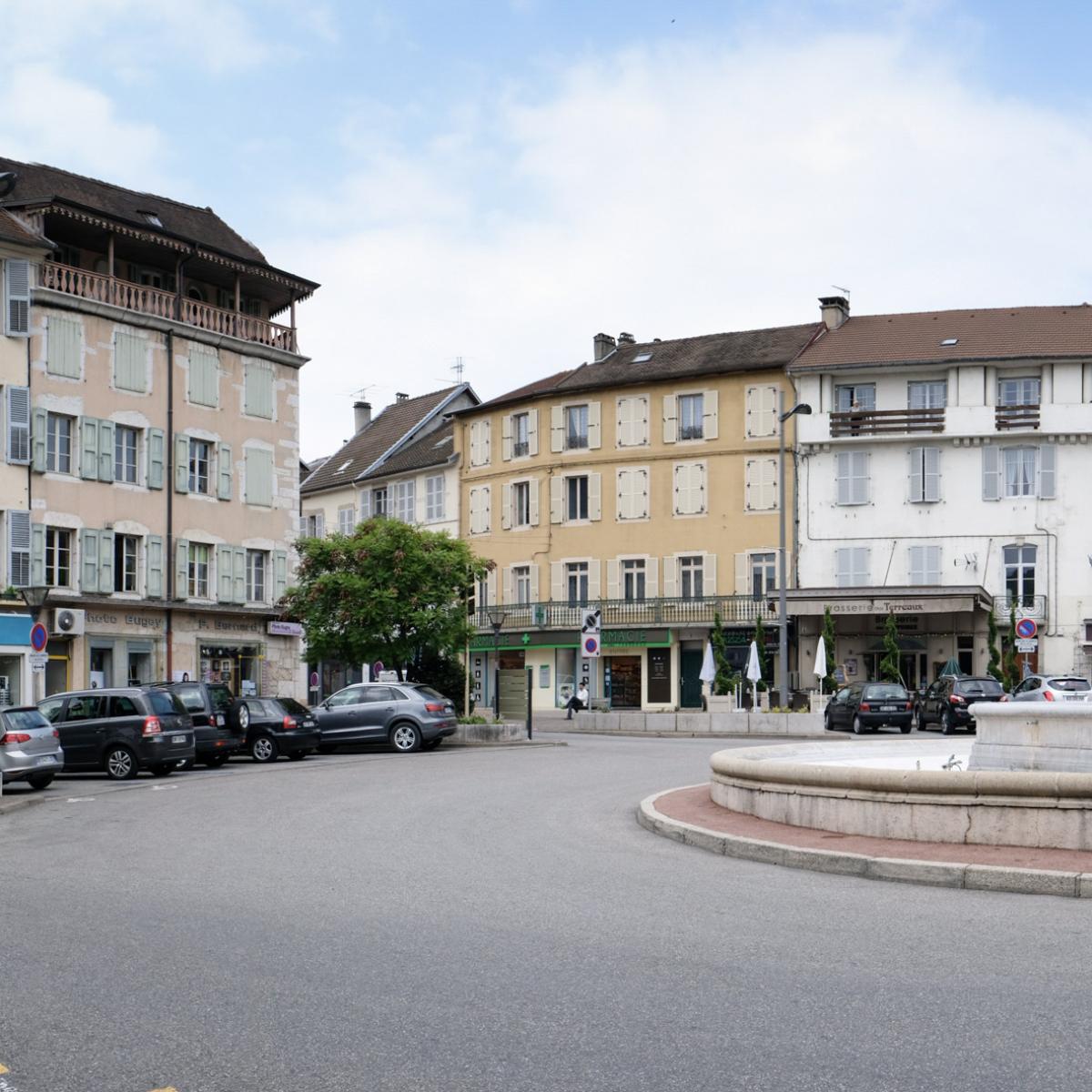 Belley, capital of Bugey | bugeysud