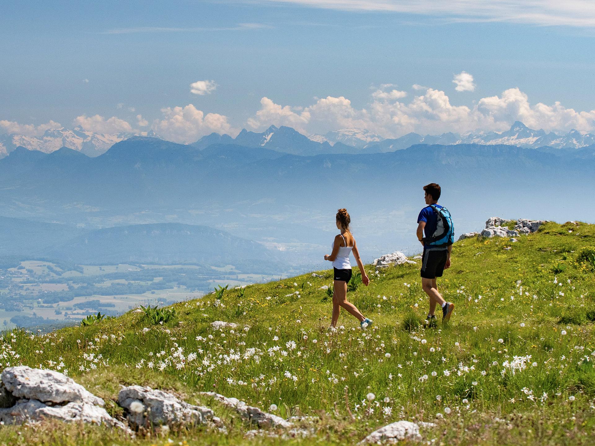Les chemins de crêtes du Grand Colombier | Office de Tourisme Bugey Sud ...