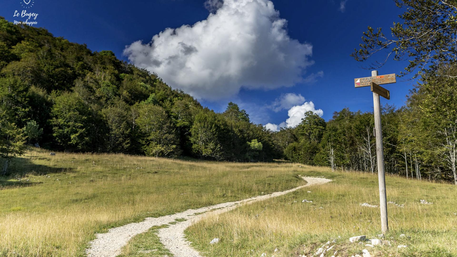 Balades en chiens de traîneau sur le Plateau de Retord | Office de ...