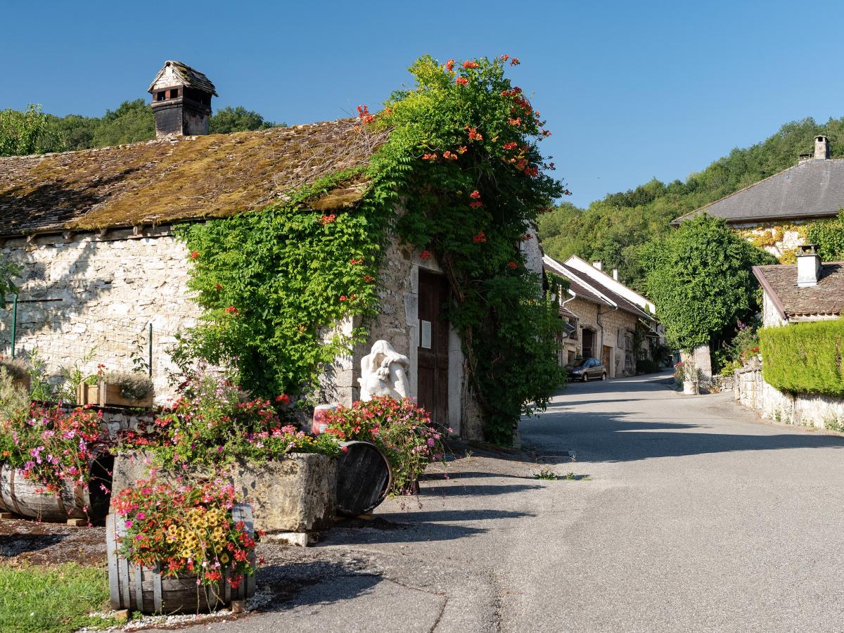 Best vineyard views in Bugey | bugeysud