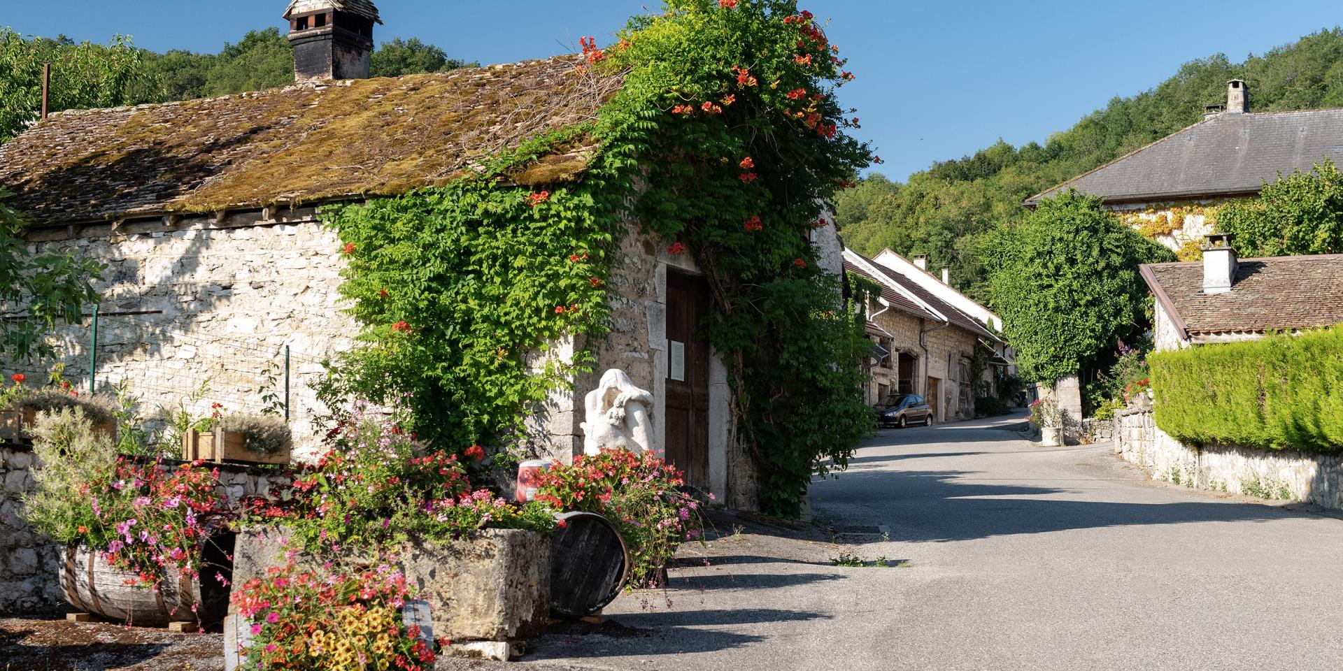 Le village viticole de Vongnes | Office de Tourisme Bugey Sud Grand ...