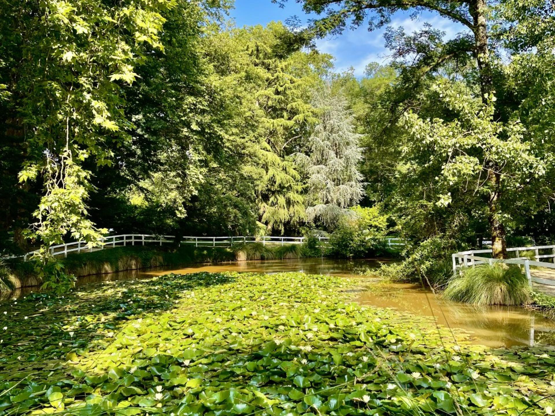 BARBOTAN-LES-THERMES | OFFICE DE TOURISME DE BARBOTAN-LES-THERMES