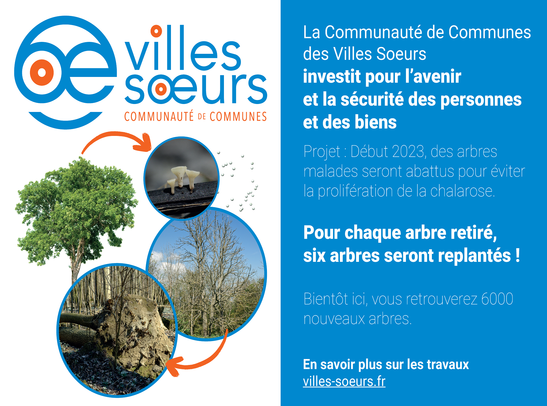 Chemin vert du petit caux | Site officiel de la Com de Com des Villes Sœurs