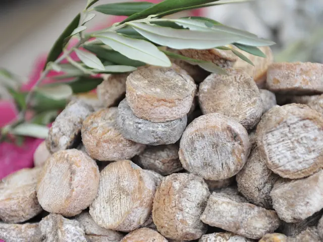 Que faire autour d’Alès | Cévennes Tourisme