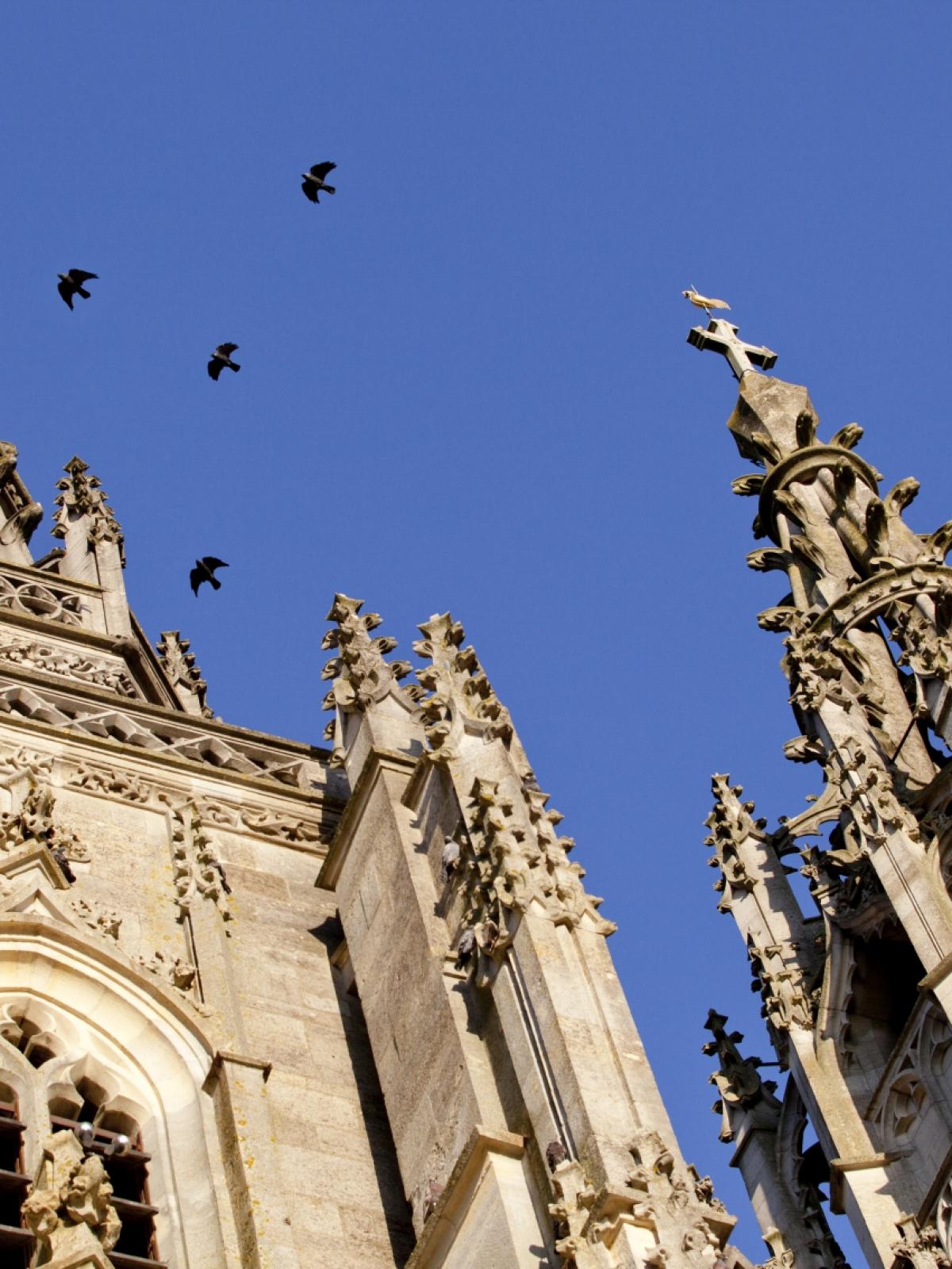 Le Patrimoine UNESCO | Châlons-en-Champagne Tourisme