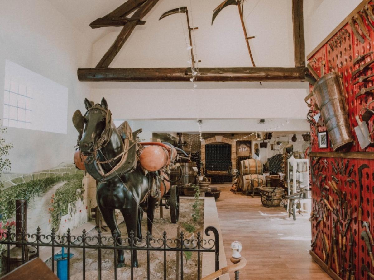 Châlons Tourisme | Office de Tourisme de Châlons-en-Champagne