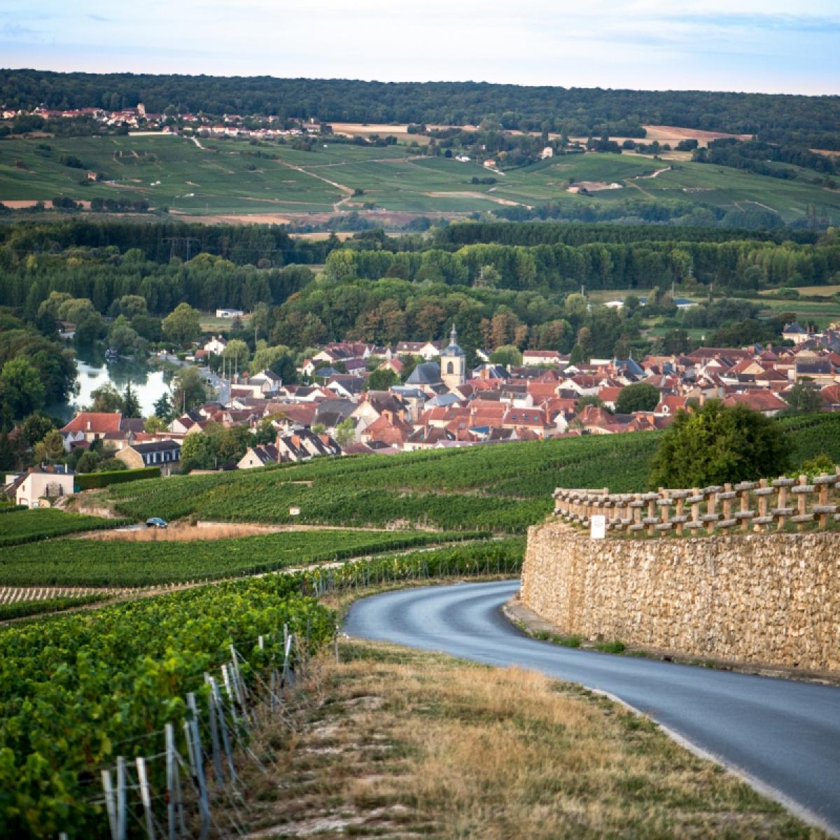 Que faire à Reims ce week-end ? Escale à Châlons-en-Champagne