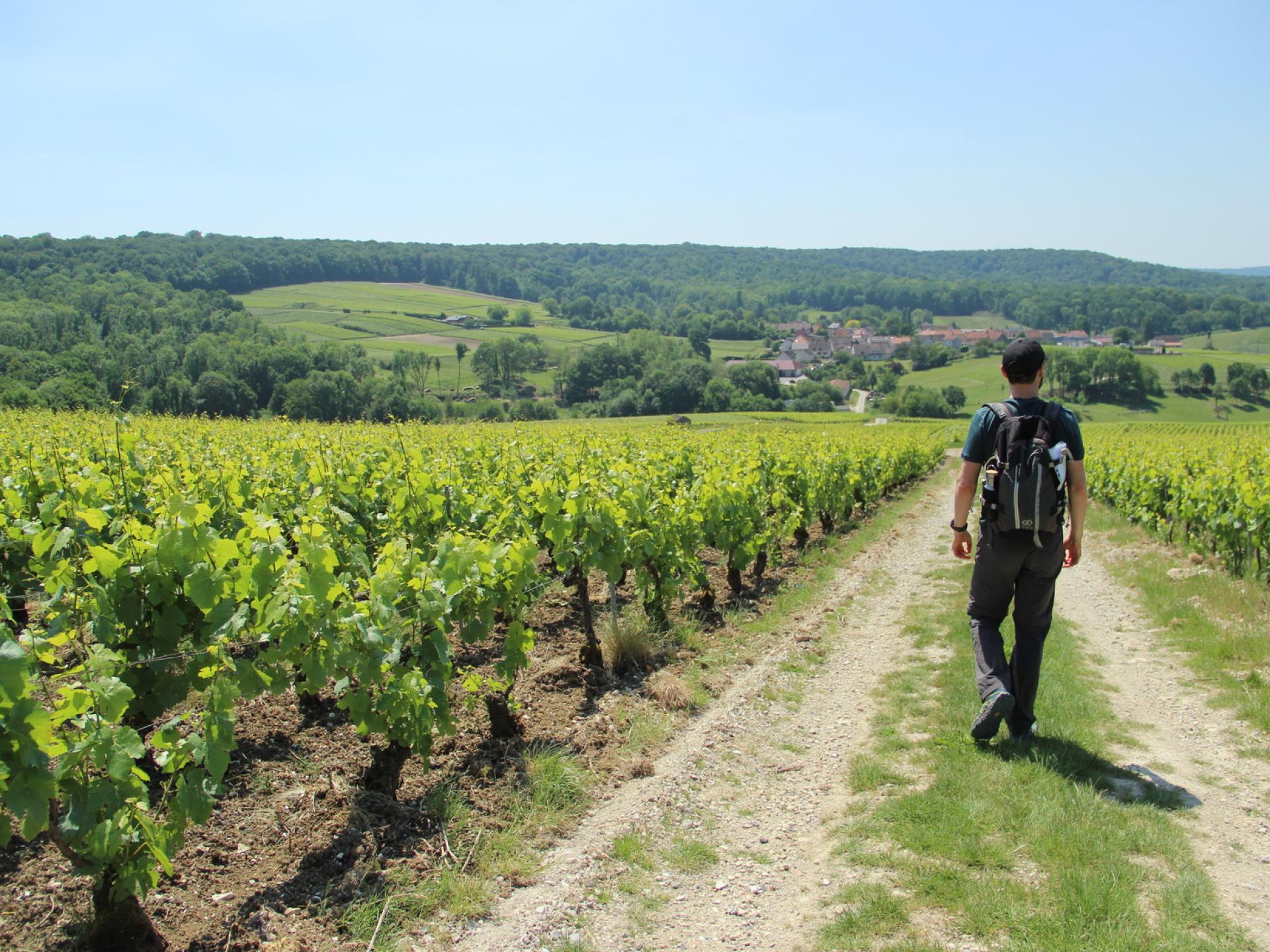 5 activités en bord de Marne à Châlons-en-Champagne