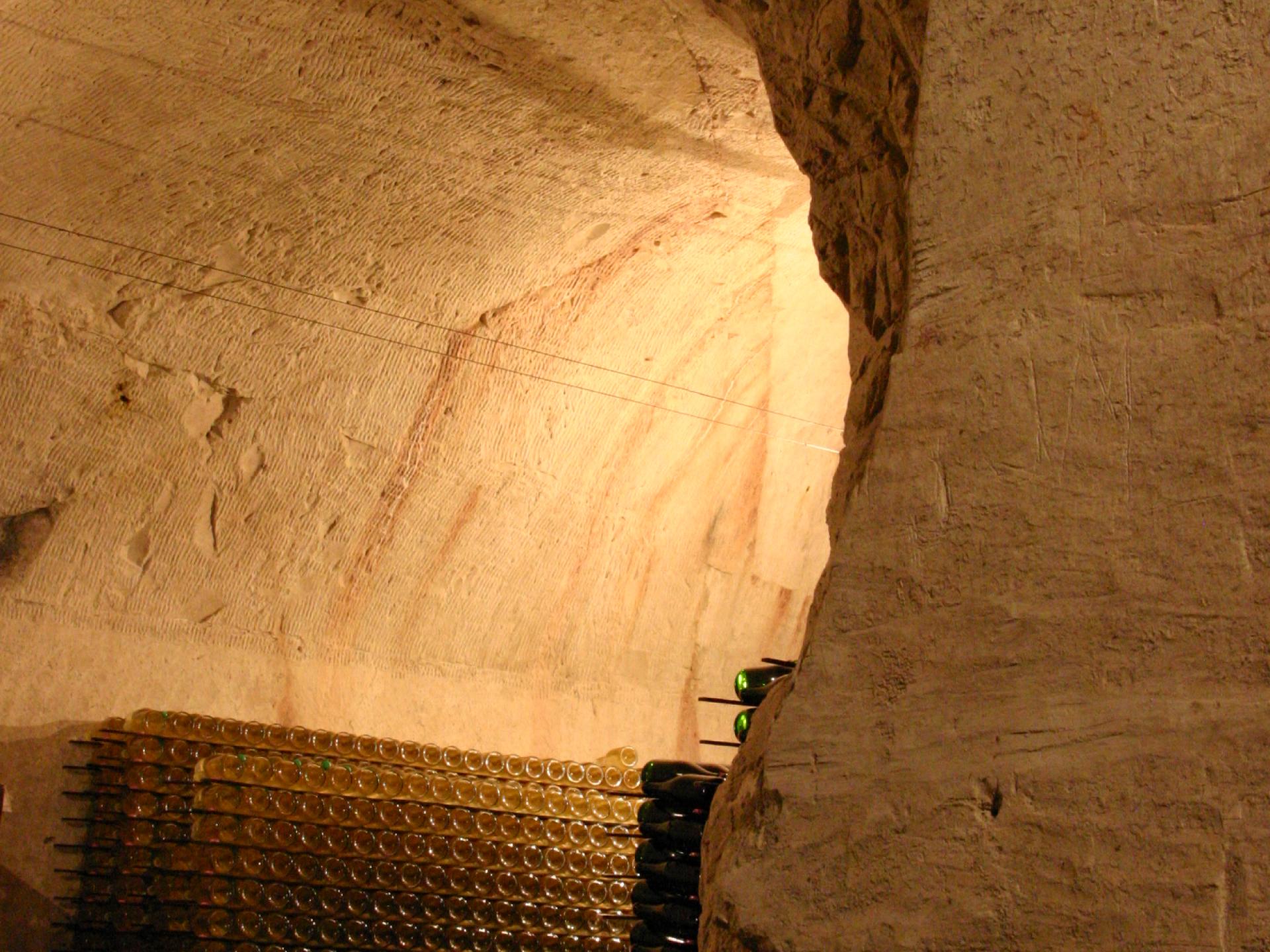 S’émerveiller au cœur de crayères historiques | Châlons Tourisme