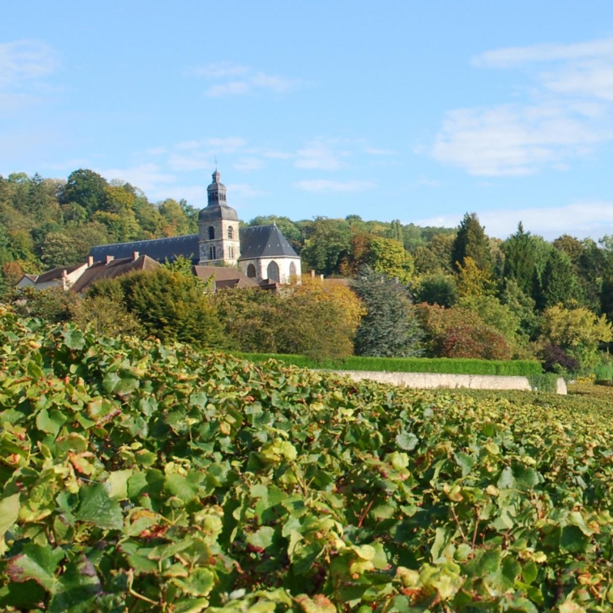 Champagne hillsides, estates and cellars | Châlons-en-Champagne – The ...
