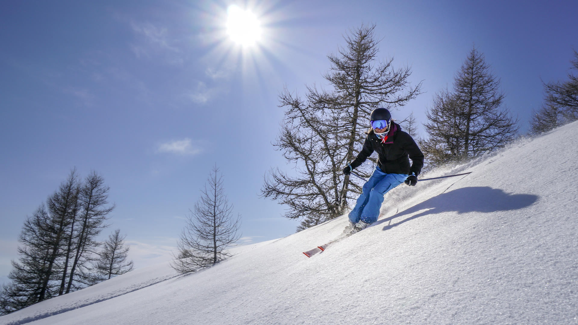Ski Alpin
