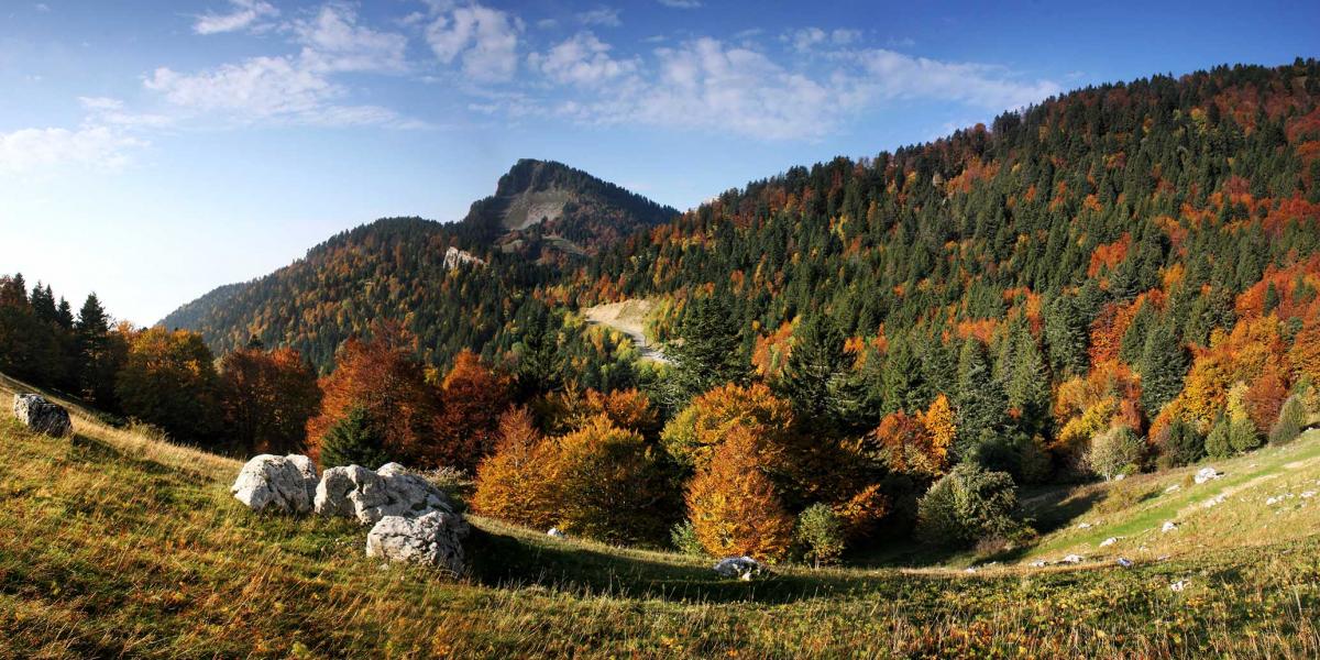 La Chartreuse à l’automne | Site Officiel de la Chartreuse en Savoie et ...