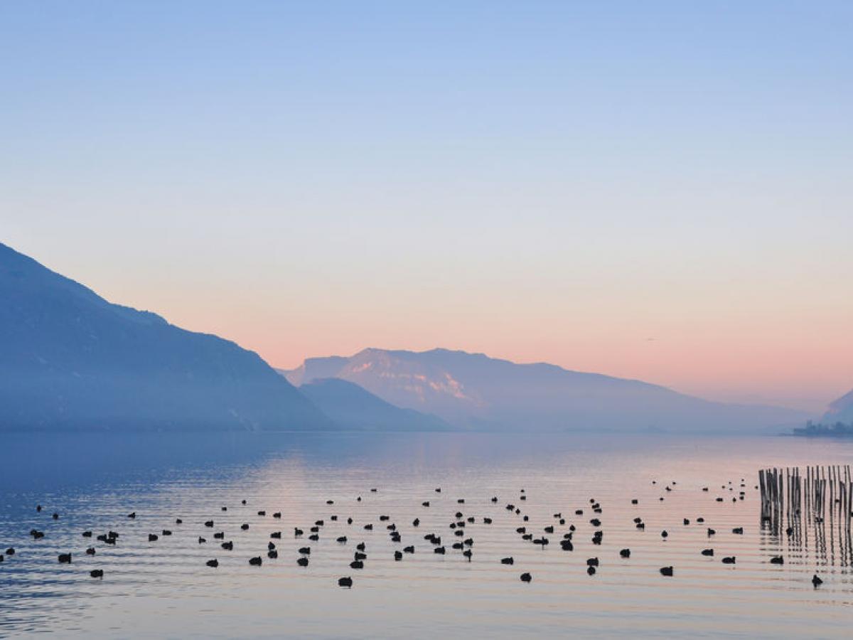 Le lac de Paladru | Site Officiel de la Chartreuse en Savoie et Isère ...
