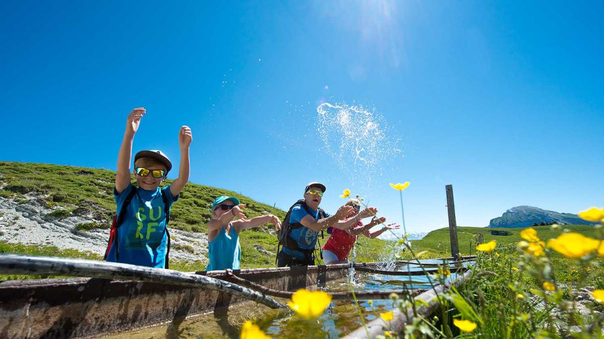 Site Officiel Chartreuse Tourisme en Savoie et Isère, région Rhône ...