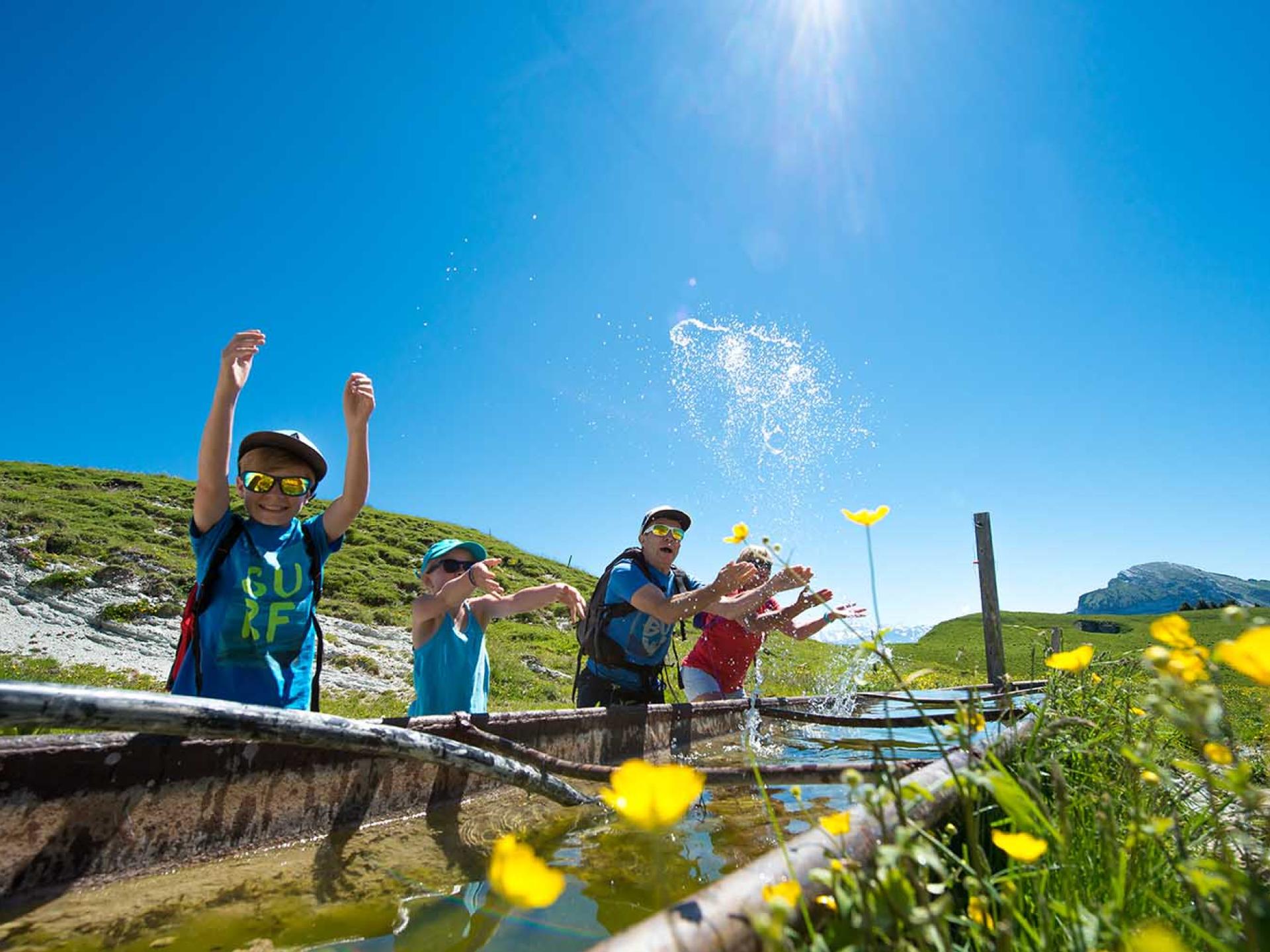 Notre top 10 des visites en Chartreuse | Site Officiel de la Chartreuse ...