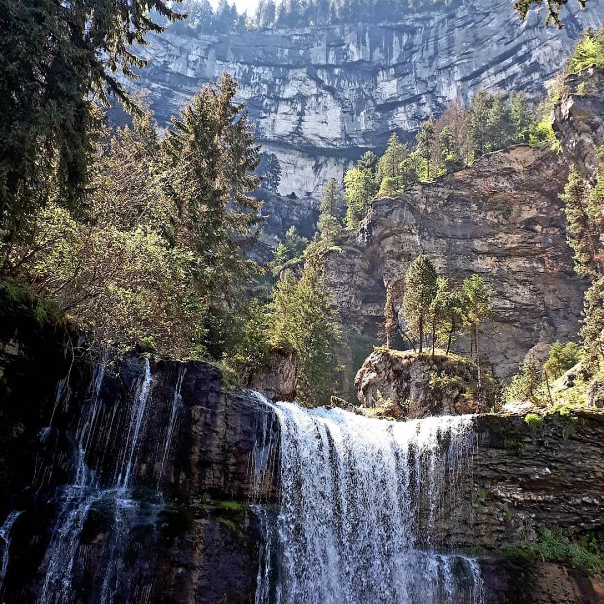Site Officiel de la Chartreuse en Savoie et Isère, au coeur de Rhone ...