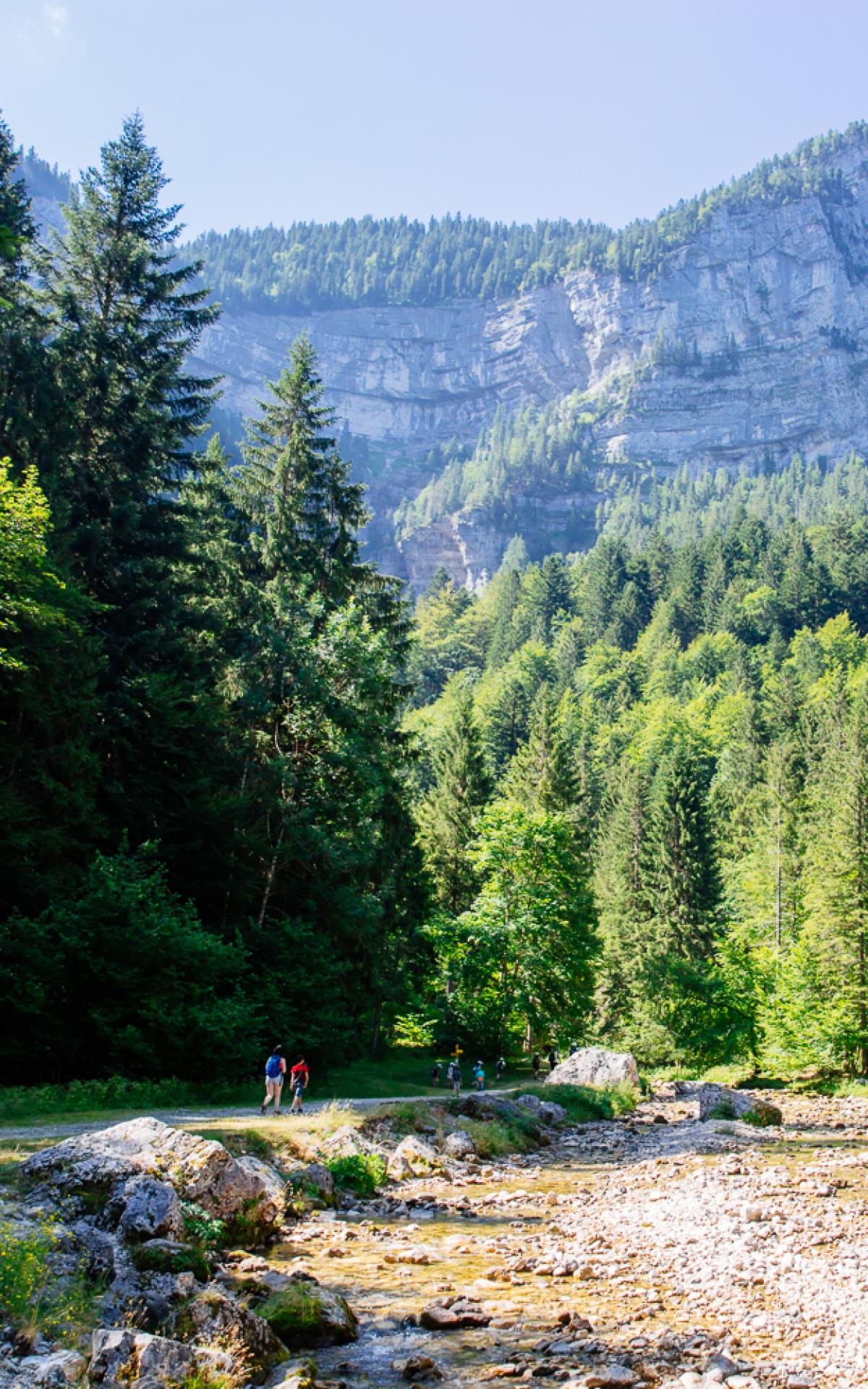 A la découverte des forêts de Chartreuse | Site Officiel de la ...