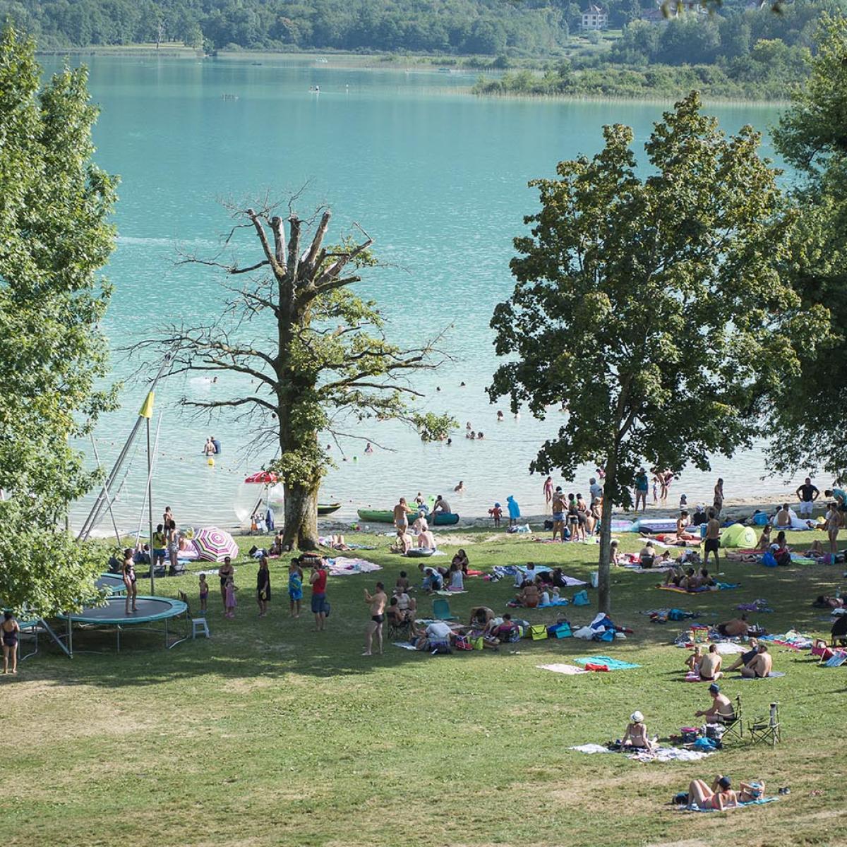 Les plages du Lac d’Aiguebelette | Site Officiel de la Chartreuse en ...