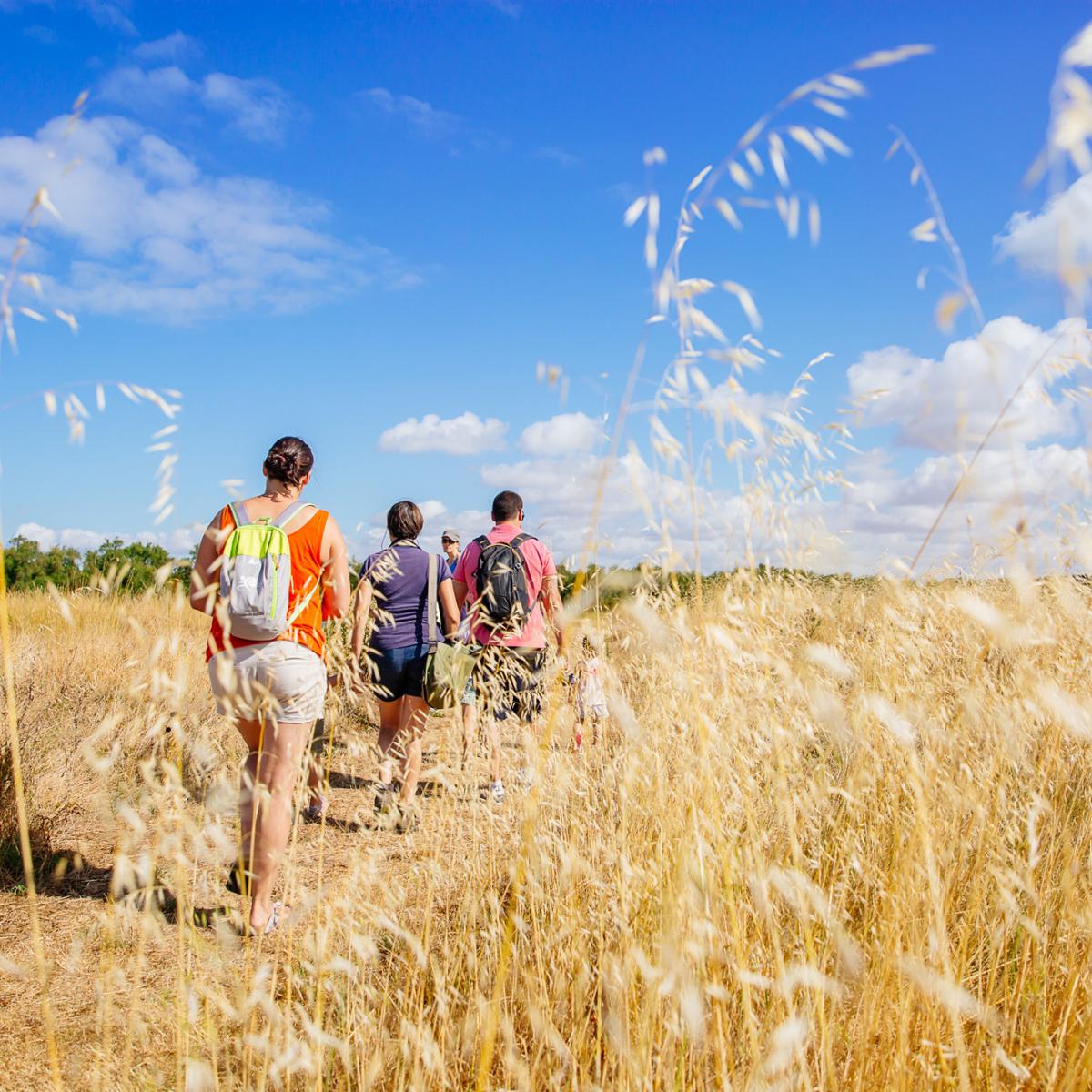 Protéger la nature : les 8 petites règles 🌱 | Châtelaillon-Plage