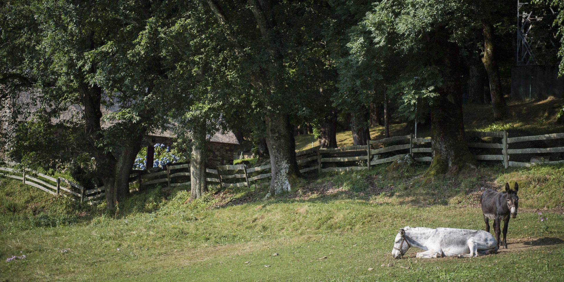 Tous les chemins mènent à la Cité Saint-Pierre VENIR À LA CITE SAINT ...