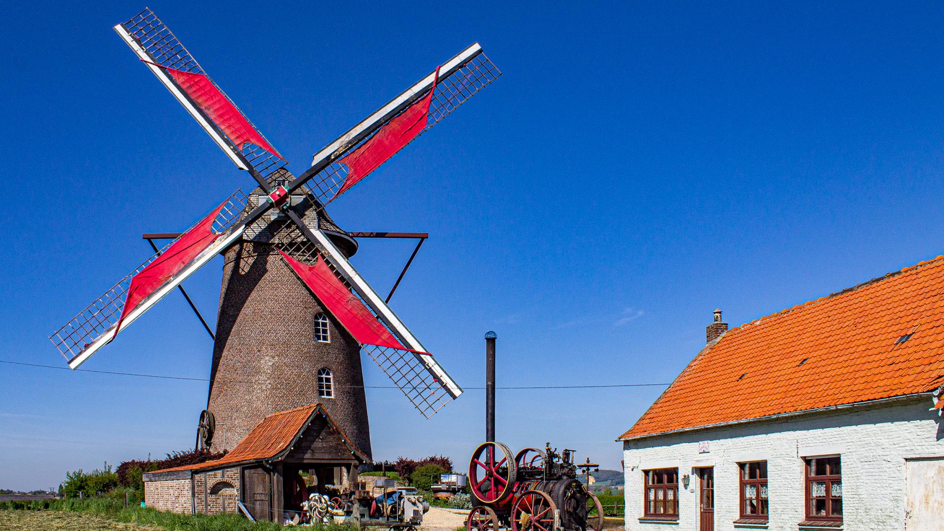 Flemish symbols | coeurdeflandre