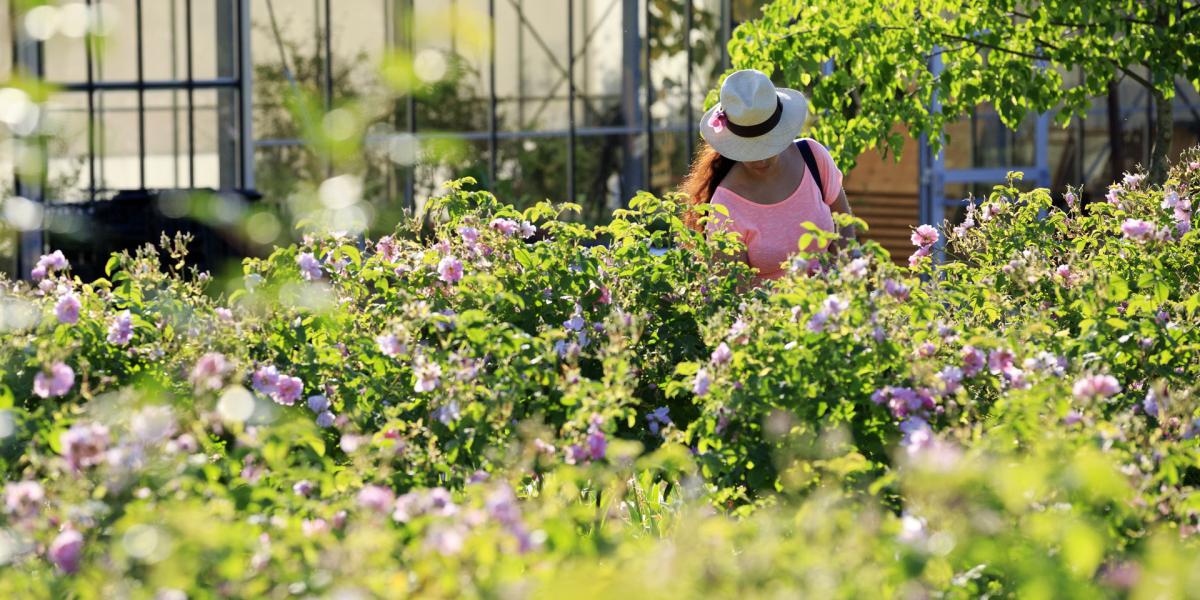Villes et Villages Fleuris | Destination Côte d’Azur France – Le Site ...