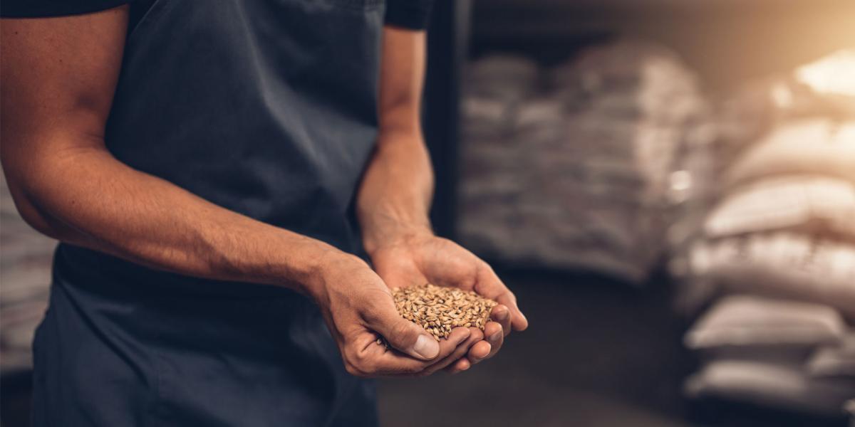 Route des Saveurs: Beer, our brewers’ treasure | Côte d’Azur France ...