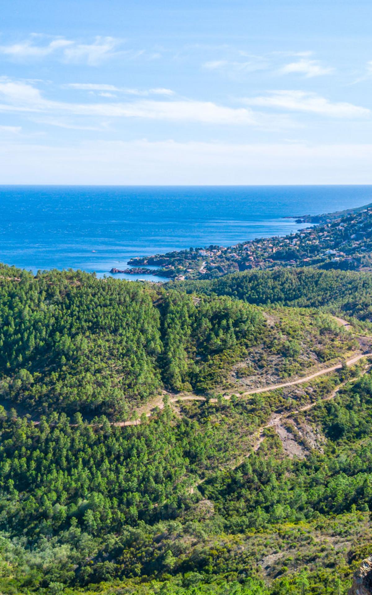 Consulat d’Algérie (Nice) | Destination Côte d’Azur France – Le Site ...