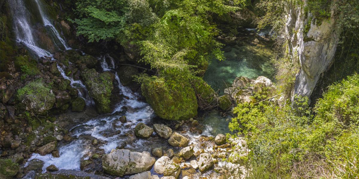 3 nature walks on the banks of the Loup river