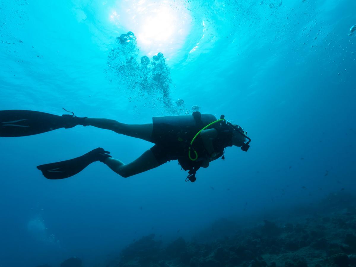 Destination Côte d’Azur France – official website