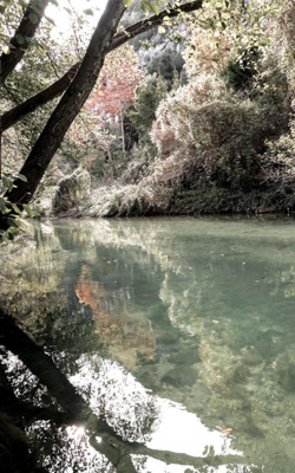 3 nature walks on the banks of the Loup river