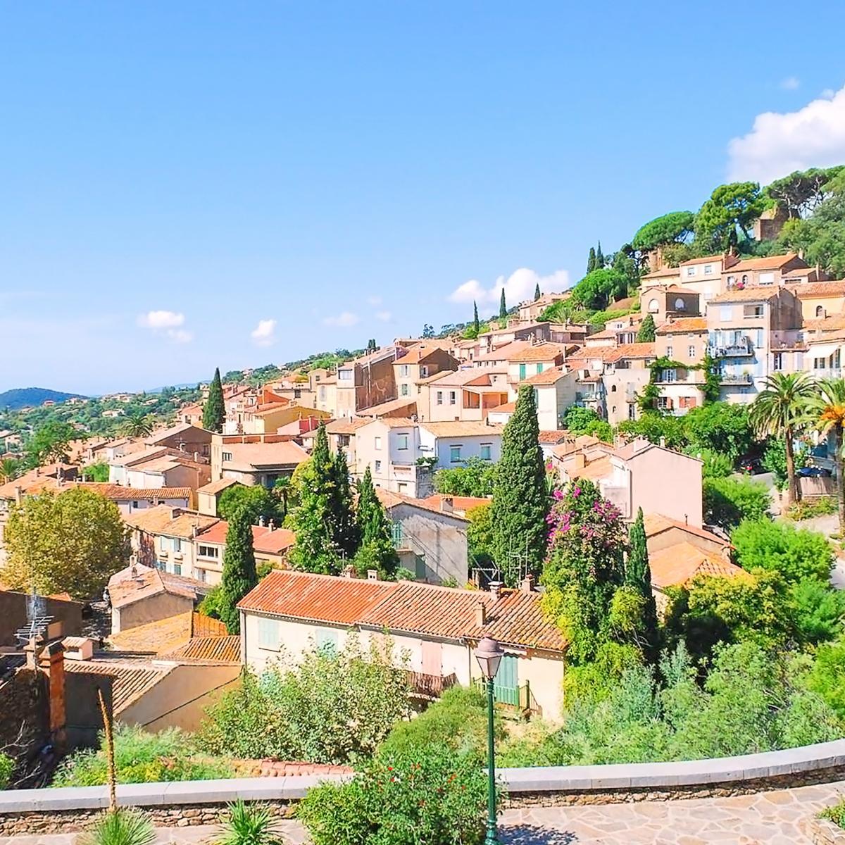 The Mimosa Route: a sensory itinerary in 8 stages | Côte d’Azur France ...