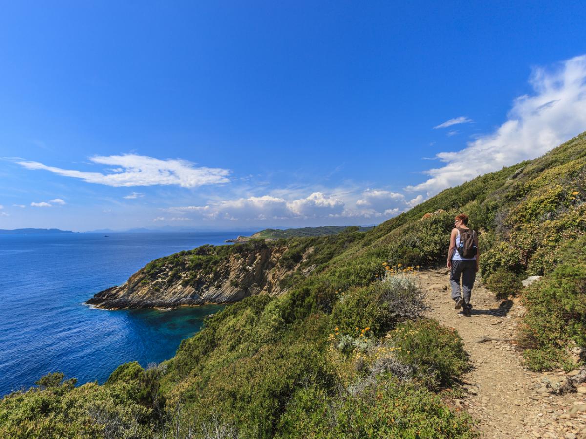 A walk in the heart of Port-Cros National Park, Europe’s first land and ...