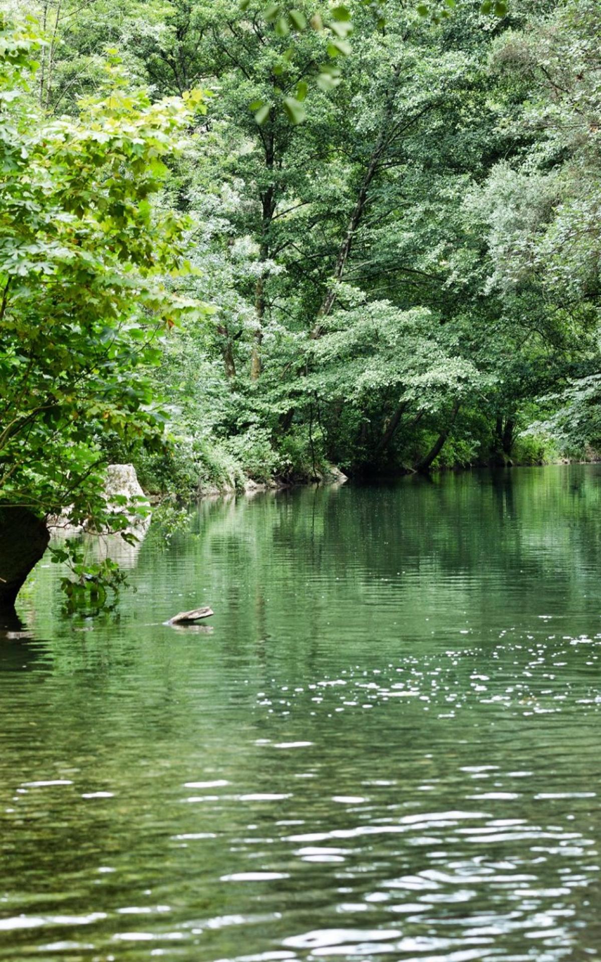 Gorgesdu Loup: what is there to do in the Gorges du Loup? | Destination ...