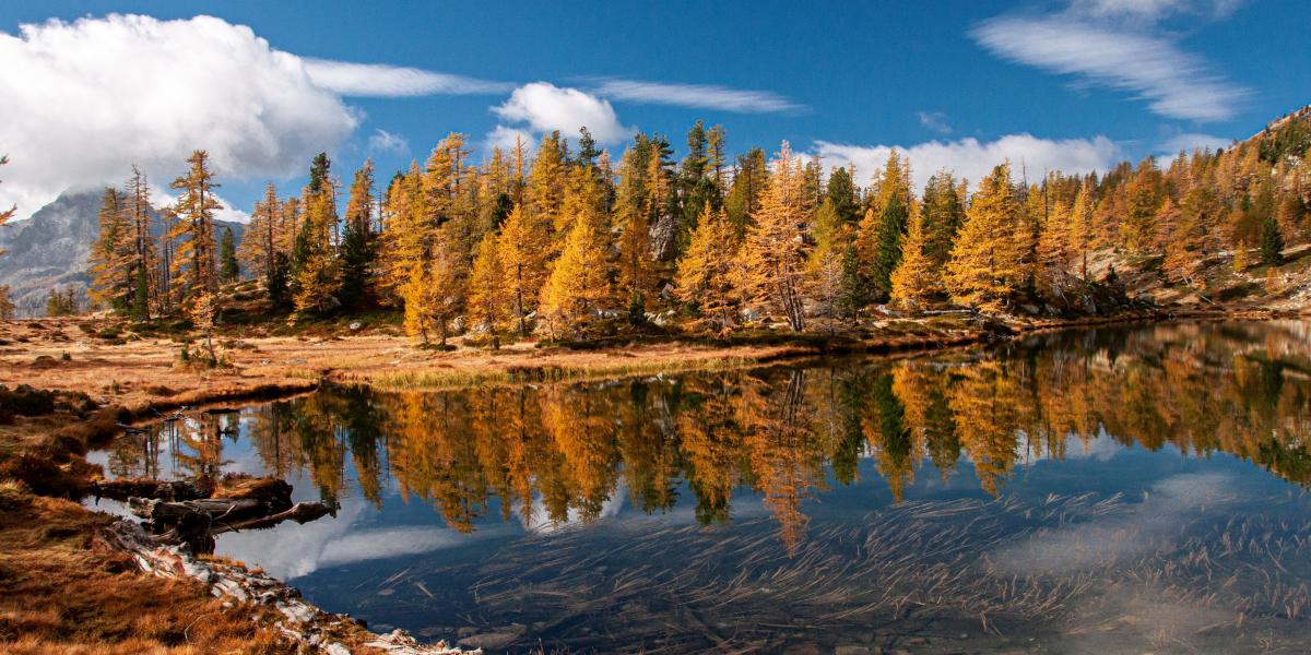Côte d’Azur walks: enjoy the autumn colours in the hinterland | Côte d ...
