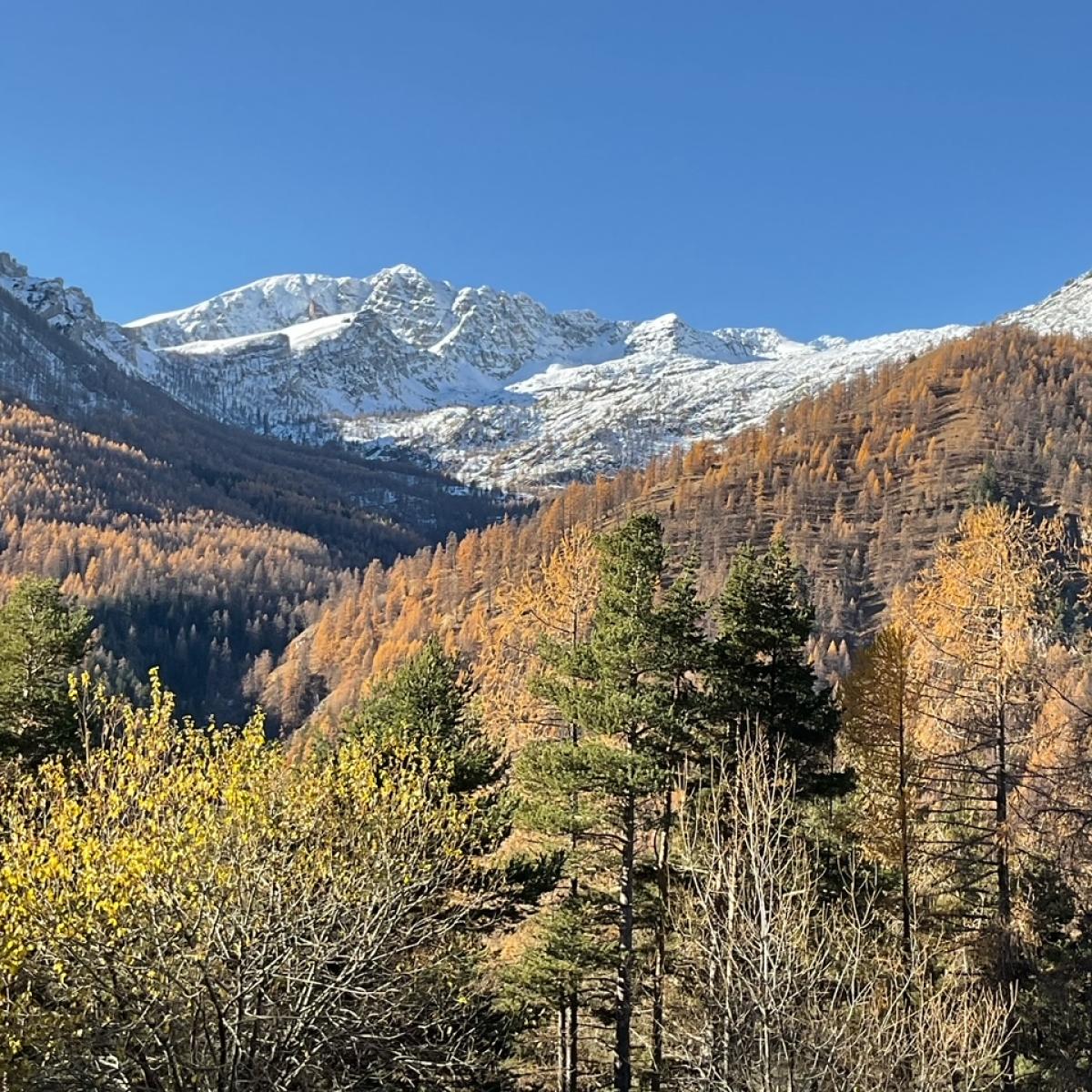 The Castérino ski resort, the white paradise of the Côte d’Azur! | Côte ...
