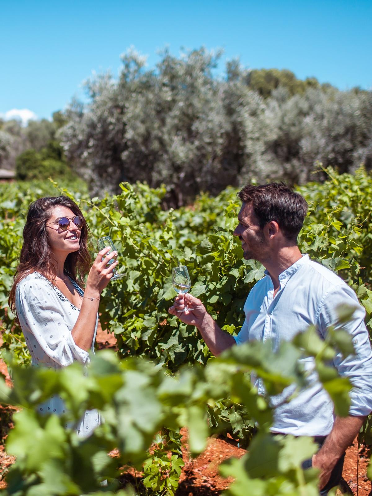 The “Routes des Saveurs”: discover the wine estates of the Côte d’Azur ...