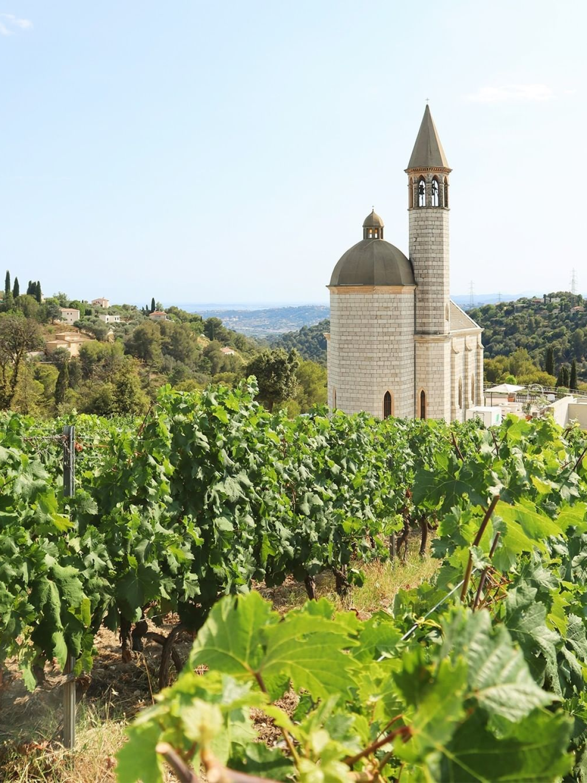 The “Routes des Saveurs”: discover the wine estates of the Côte d’Azur ...