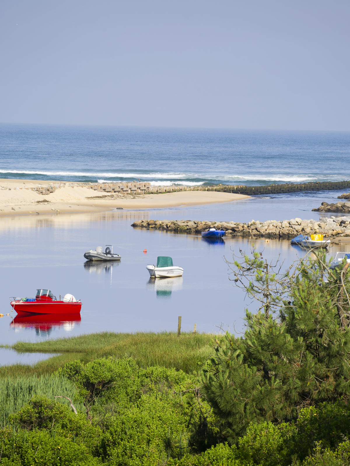 Les marchés | Côte Landes Nature Tourisme