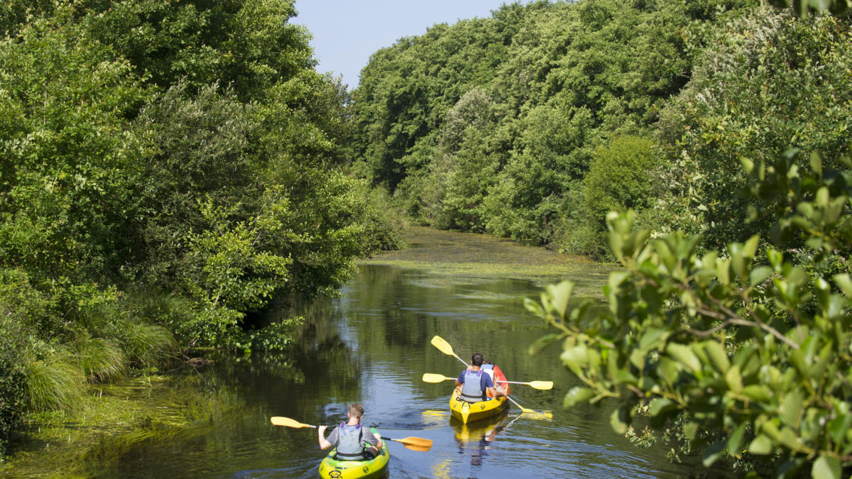 La forêt landaise, ses lacs, rivières et courants | Côte Landes Nature ...