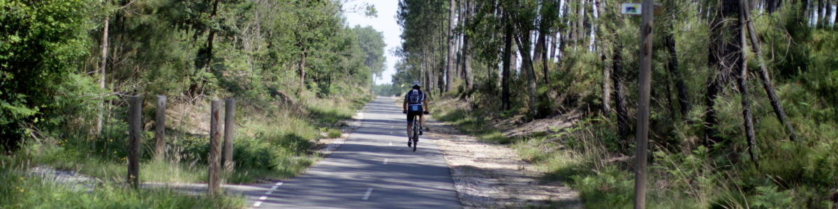 À vélo dans les Landes | Côte Landes Nature Tourisme