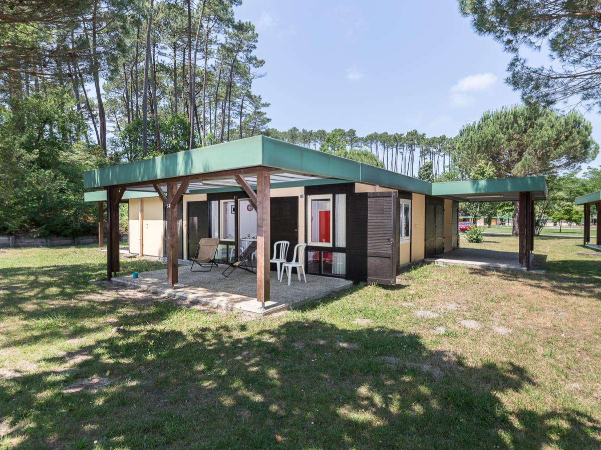 Léon Landes près de Moliets | Office de Tourisme à Léon