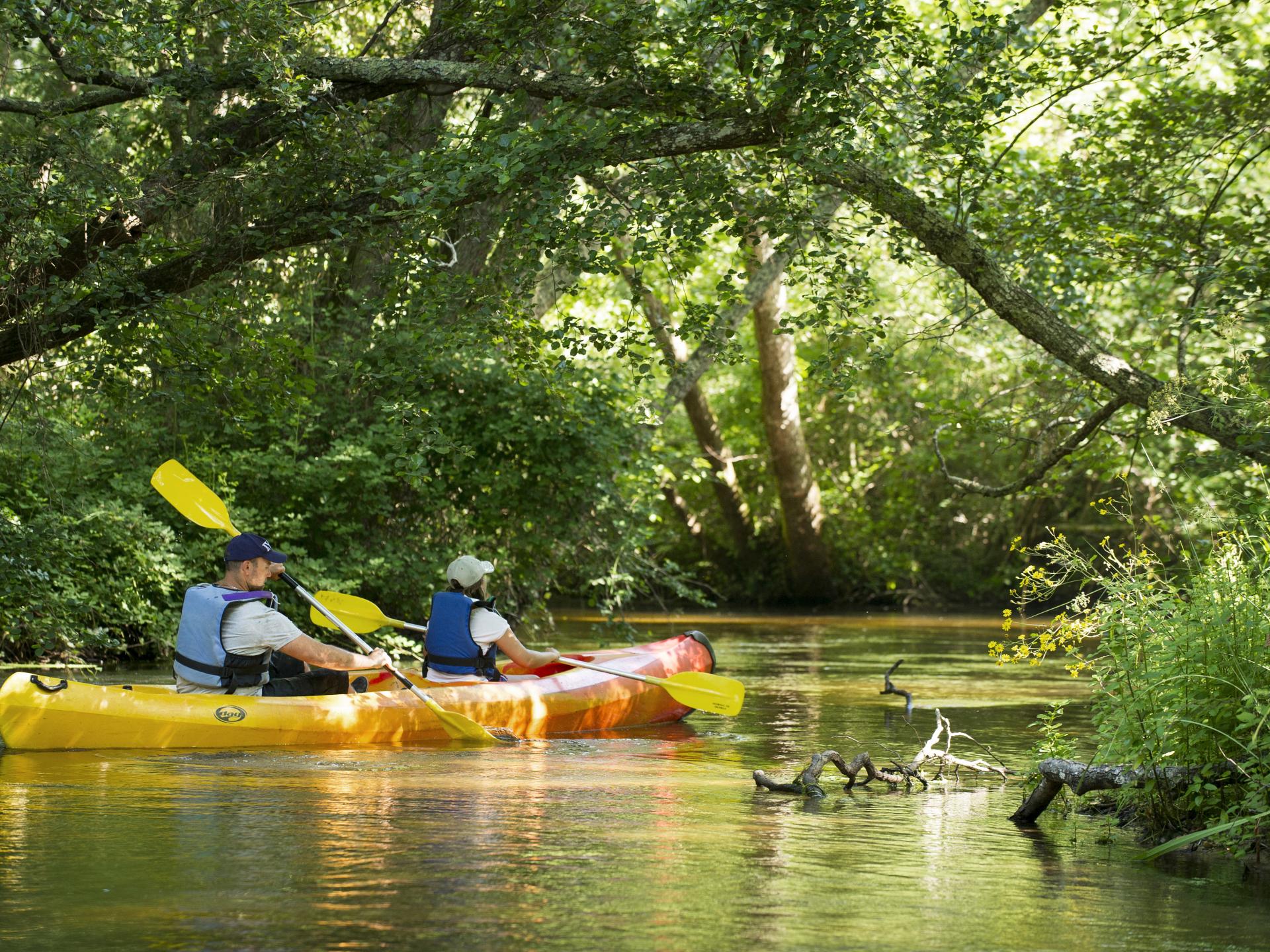I tried out canoeing vers le Lac de Léon | Côte Landes Nature Tourisme