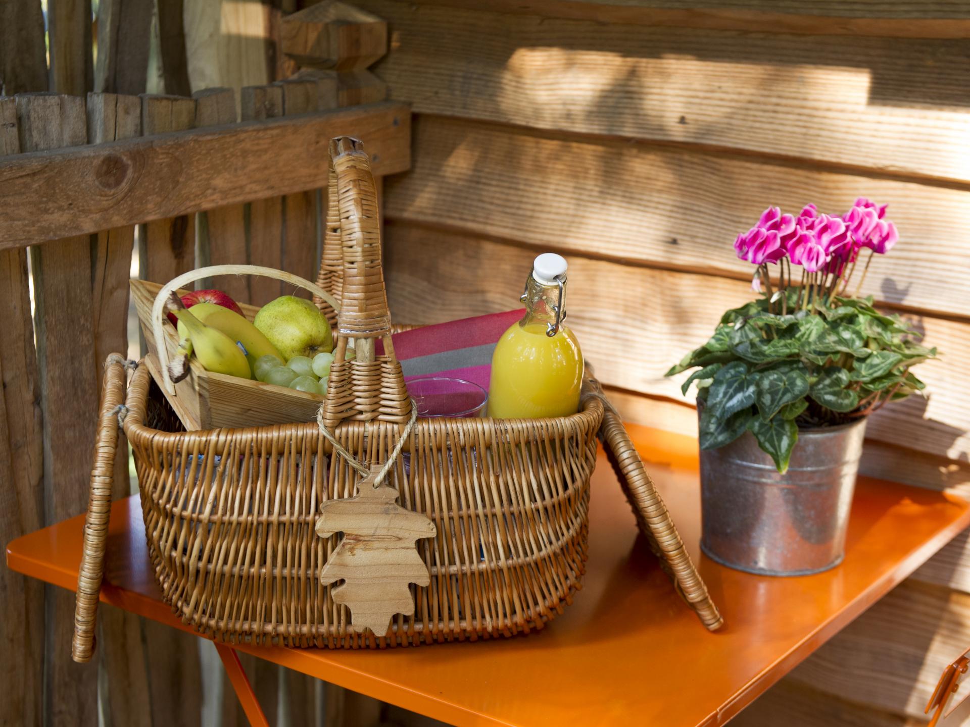 Léon Landes près de Moliets | Office de Tourisme à Léon