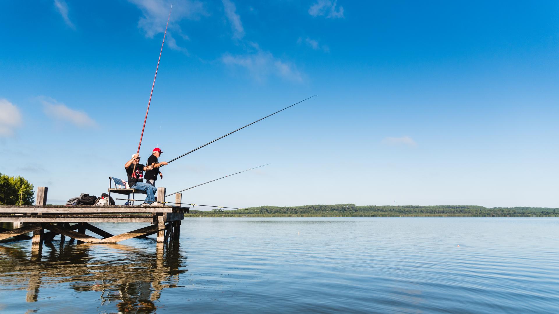 Le Lac de Léon | Côte Landes Nature Tourisme