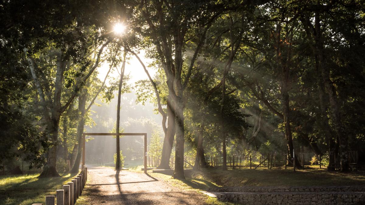 Léon Landes près de Moliets | Office de Tourisme à Léon