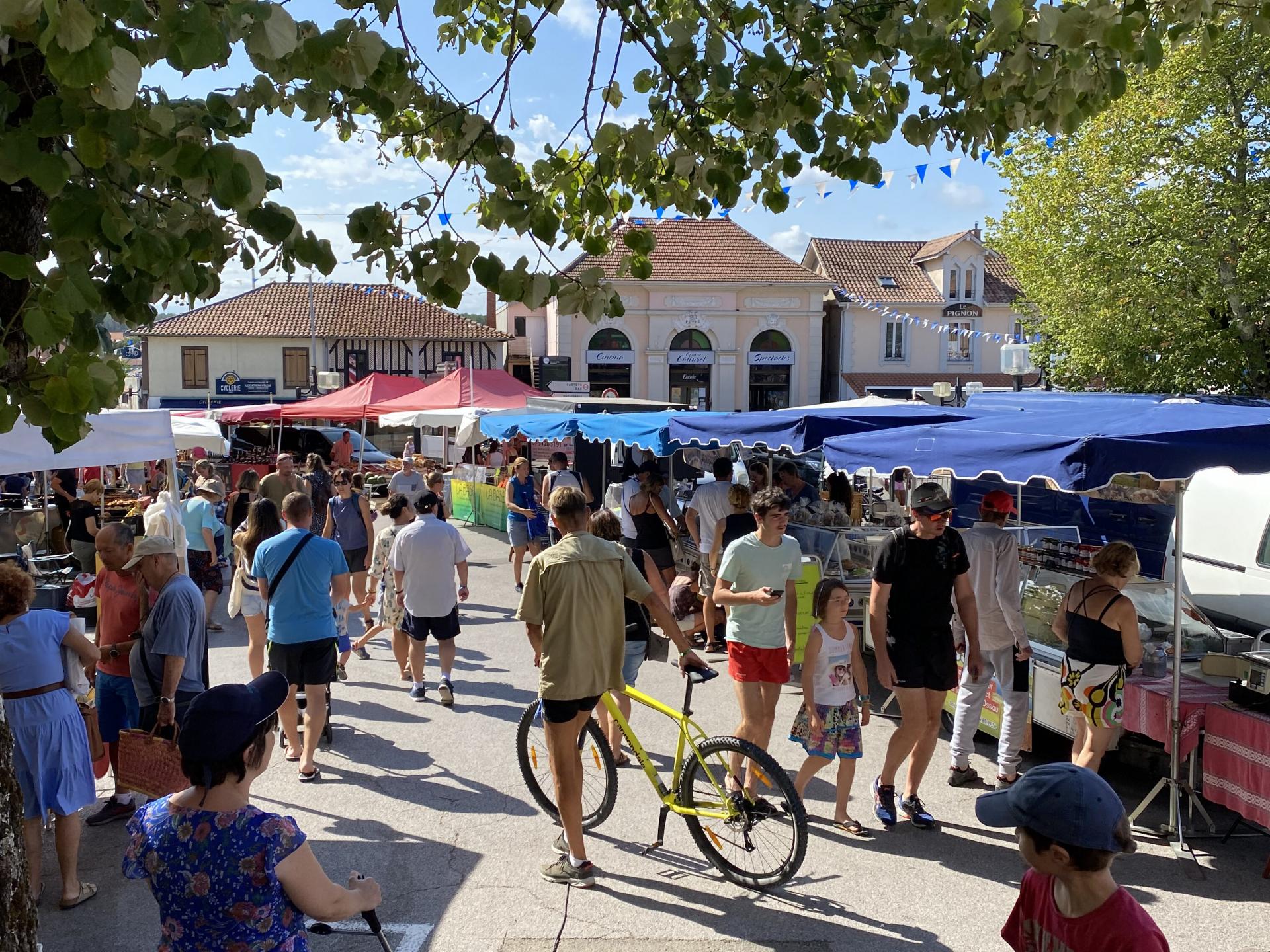 Que faire à Léon | Côte Landes Nature Tourisme