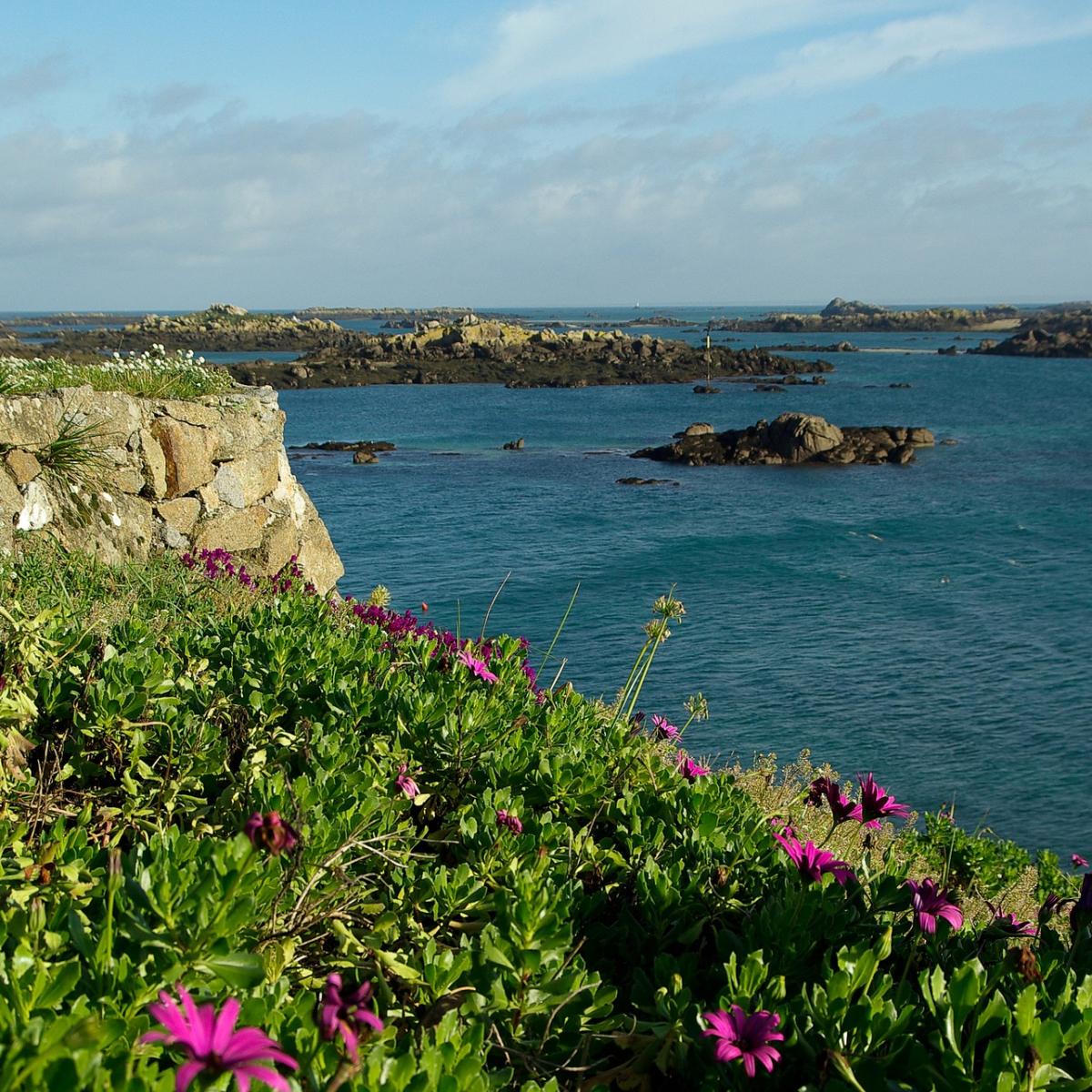 Chausey | Coutances Tourisme : Organisez vos vacances dans la Manche