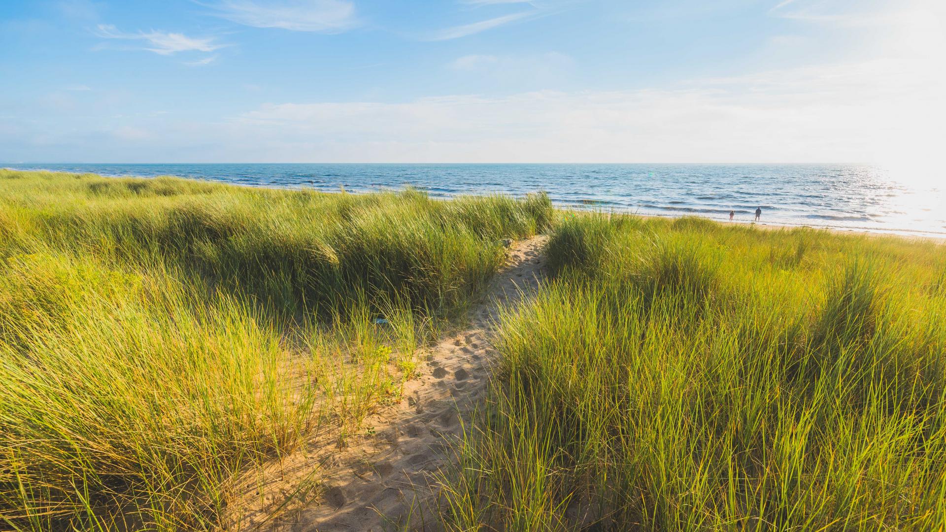 5 expériences à vivre en bord de mer | Coutances Tourisme : Organisez ...